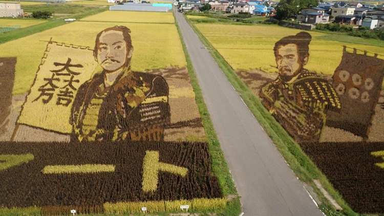 Japanese Farmers Incredible Rice Field Art | Nestia