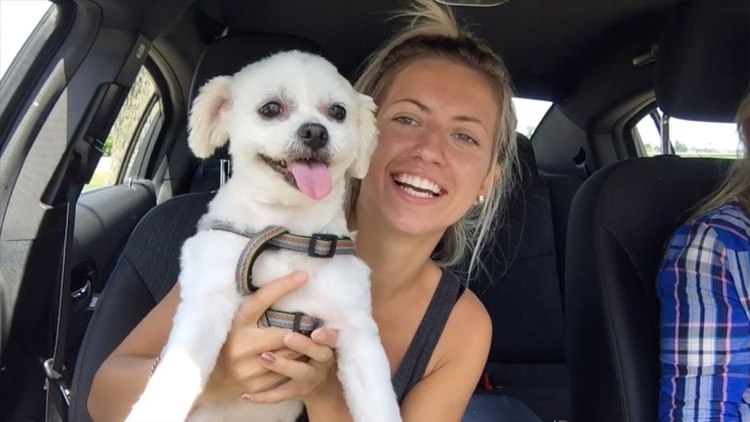 Dog Helps Owner Overcome Seizures | Nestia