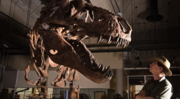 T-rex dinosaurs biology is more complicated than previously claimed ...