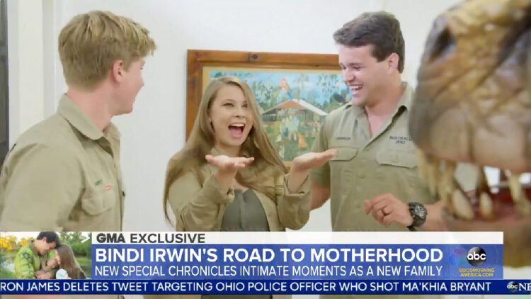 Watch Bindi Irwin's Hilarious Reaction to Dinosaur-Themed Nursery for Her Daughter Grace | Nestia