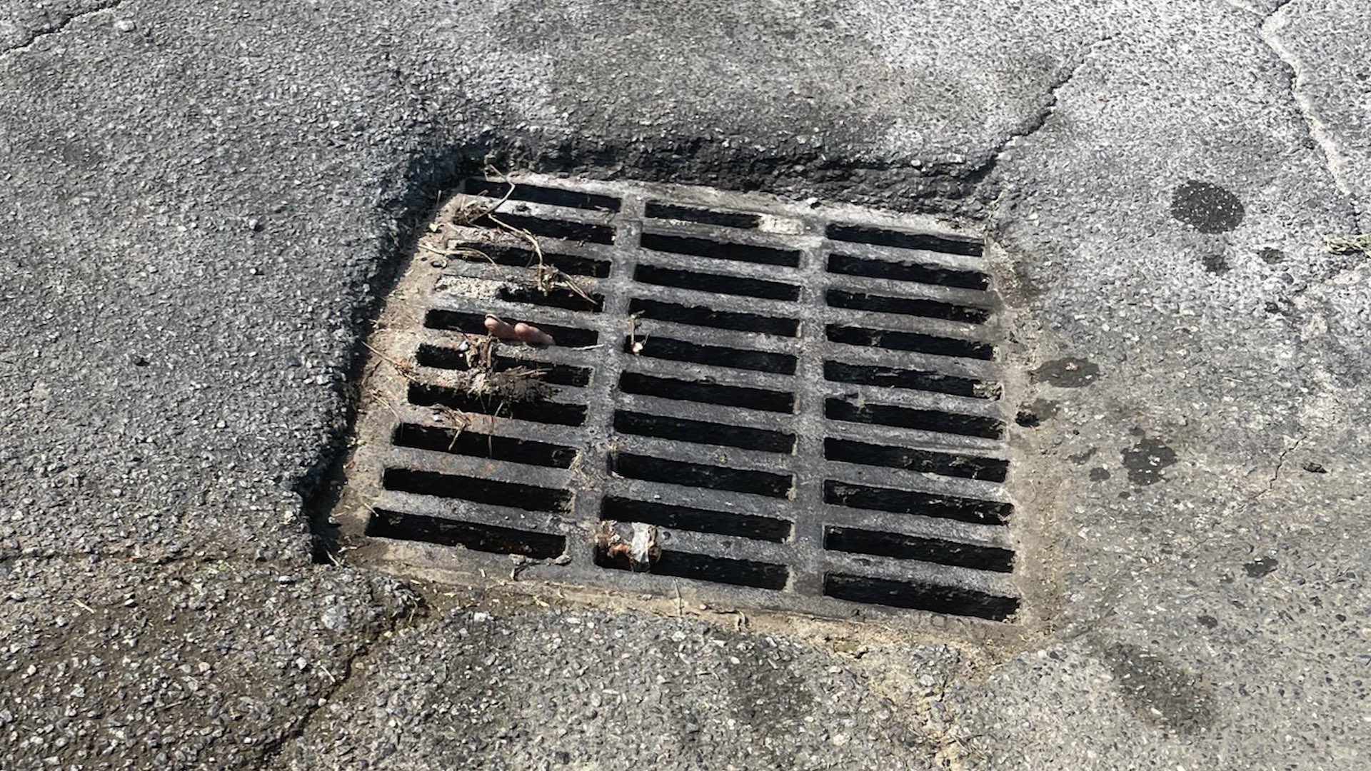 Viral Twitter Thread Documents Saga of Woman Found Trapped in Storm ...