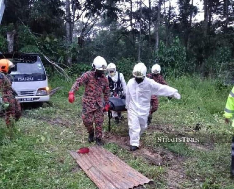 Man climbing Dabai tree electrocuted | Nestia