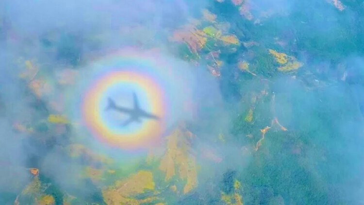 OPTICAL PHENOMENON | Passenger Films 'Glory' Circling Plane Shadow | Nestia