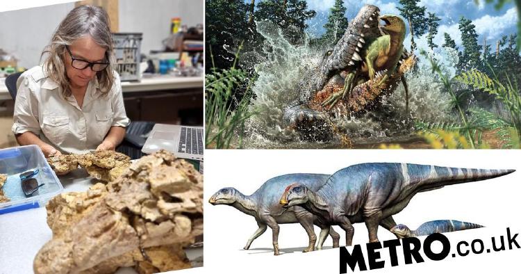 93 million-year-old croc discovered with baby dino still in its belly ...