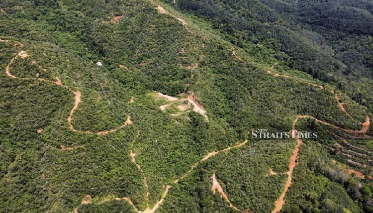 MACC to determine if graft involved in Gunung Inas durian farm project ...