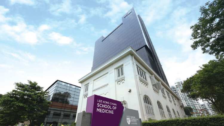 NTU team awarded US$2 million research grant for COVID-19 drug ...