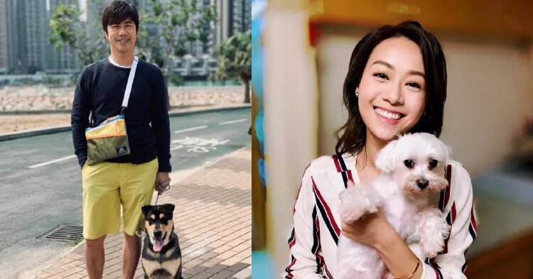 黄心颖约满TVB 认同居泥鯭 | Nestia