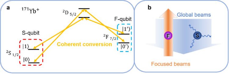 Researchers realize two coherently convertible qubit types using a ...