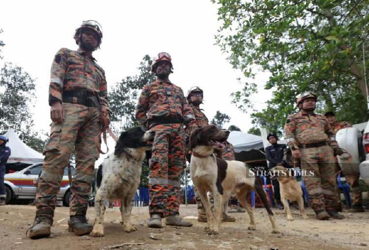 Batang Kali landslide probe 90 per cent complete | Nestia