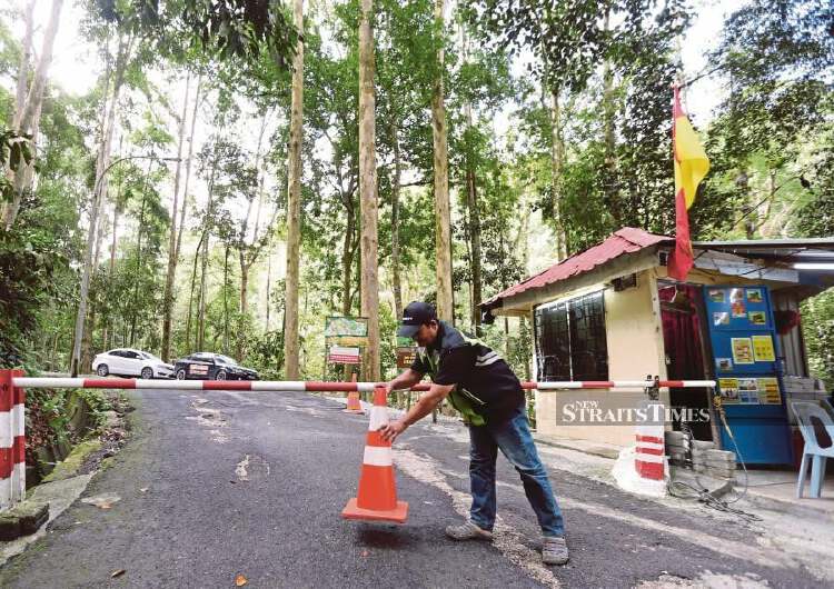 Selangor re-opens eco forest park and hiking spots on Feb 1 | Nestia