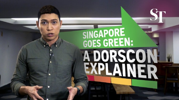 Singapore goes Green: A Dorscon explainer | Nestia