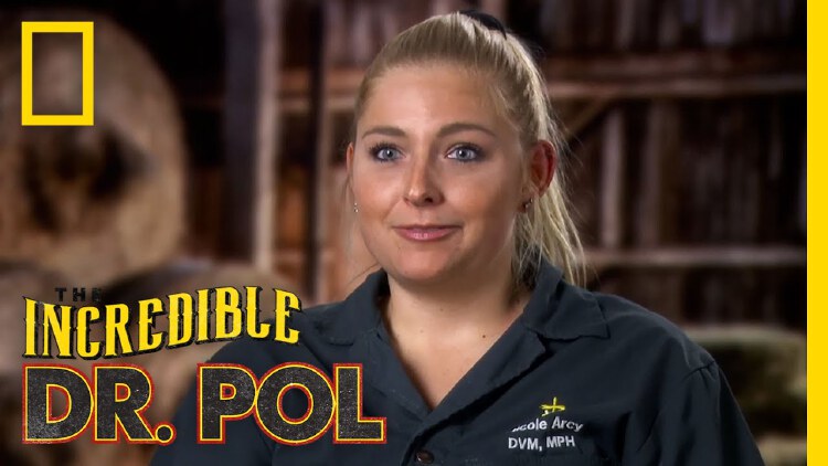 Aussie Puppies Go for a Check Up | The Incredible Dr. Pol | Nestia