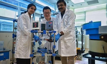 NTU scientists tap metal-eating microbes to recycle lithium-ion ...