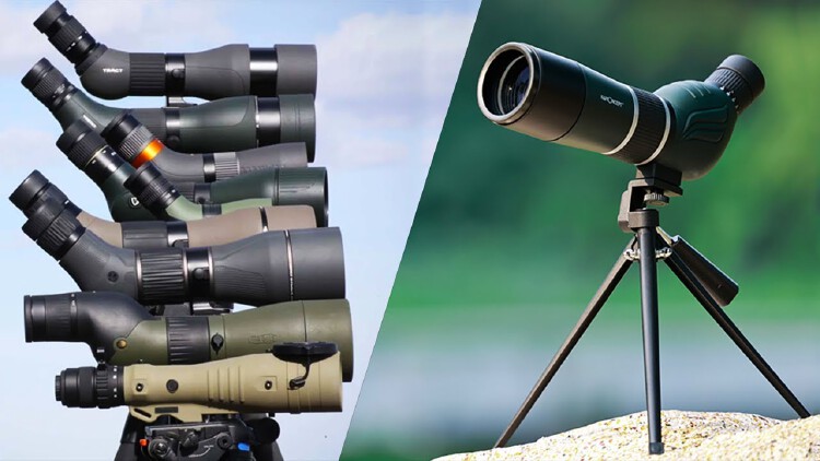 5 Best Spotting Scopes of 2023 | Nestia