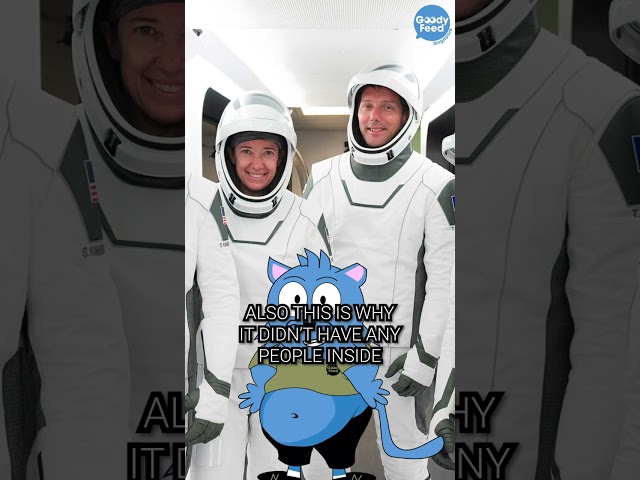 Why people are happy when the SpaceX rocket, Starship, exploded | Nestia Why people are happy when the SpaceX rocket, Starship, exploded | Nestia