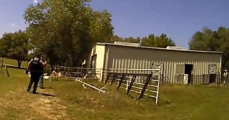 Confused cops rush towards screams for help but find 'very upset goat ...