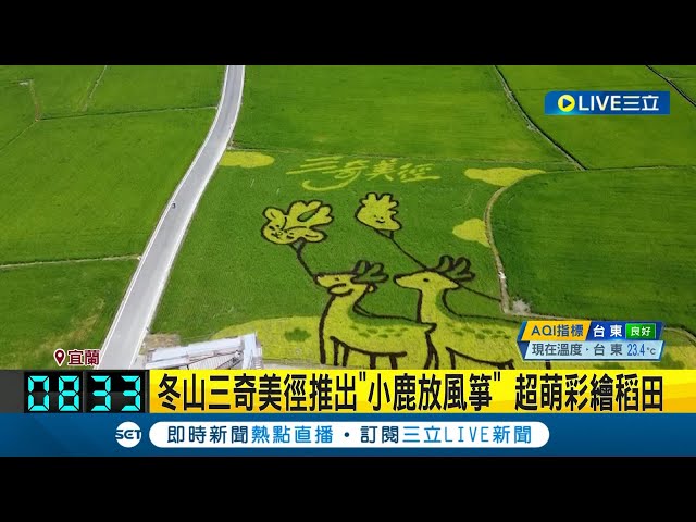 小鹿萌翻天~冬山三奇美径推出"小鹿放风筝" 超萌彩绘稻田 5.6月赏稻季! 随稻作熟成不同"色彩"景致现│记者 黄国瑞 胡嘉珍│【玩乐freestyle】20230514│三立新闻台 | Nestia