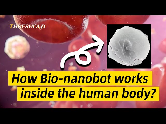 Inside the Human Body: How Bio-nanobots Deliver Targeted Medicine | Nestia