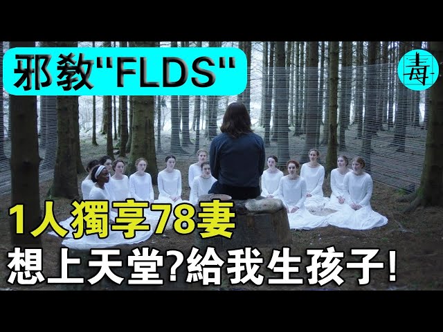 1人独享78位“妻子”！美国邪教FLDS，遵循“上帝旨意”！想上天堂？给我生孩子就行！ | Nestia