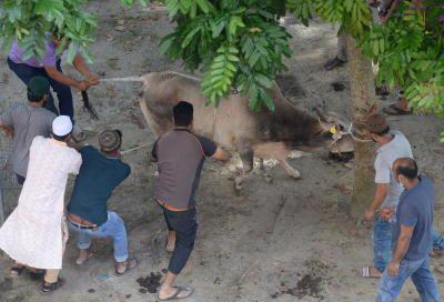 Additional Aidiladha public holiday for Selangor civil servants on June 30 | Nestia