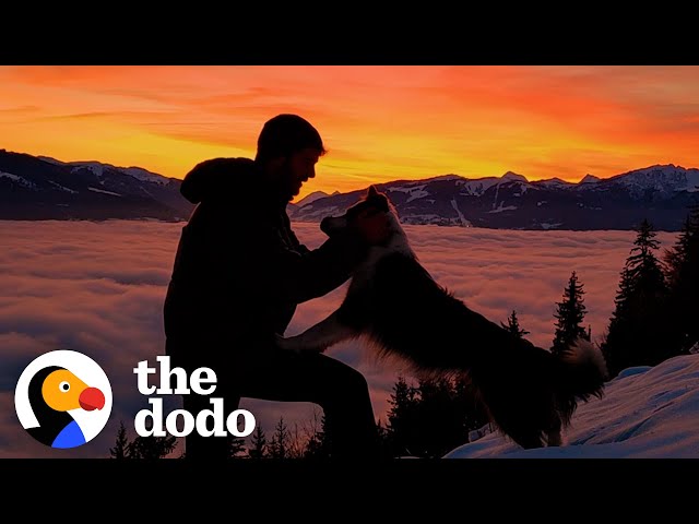 Man Leaves Everything Behind To Follow His Dream With His Dog | The ...