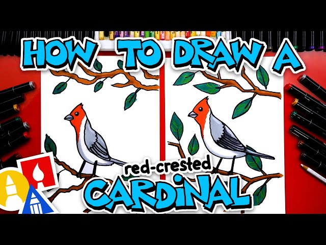 How To Draw A Red-Crested Cardinal | Nestia