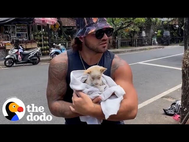 Tiny Puppy Thrown Out Like Trash Can't Stop Kissing Her New Sisters ...