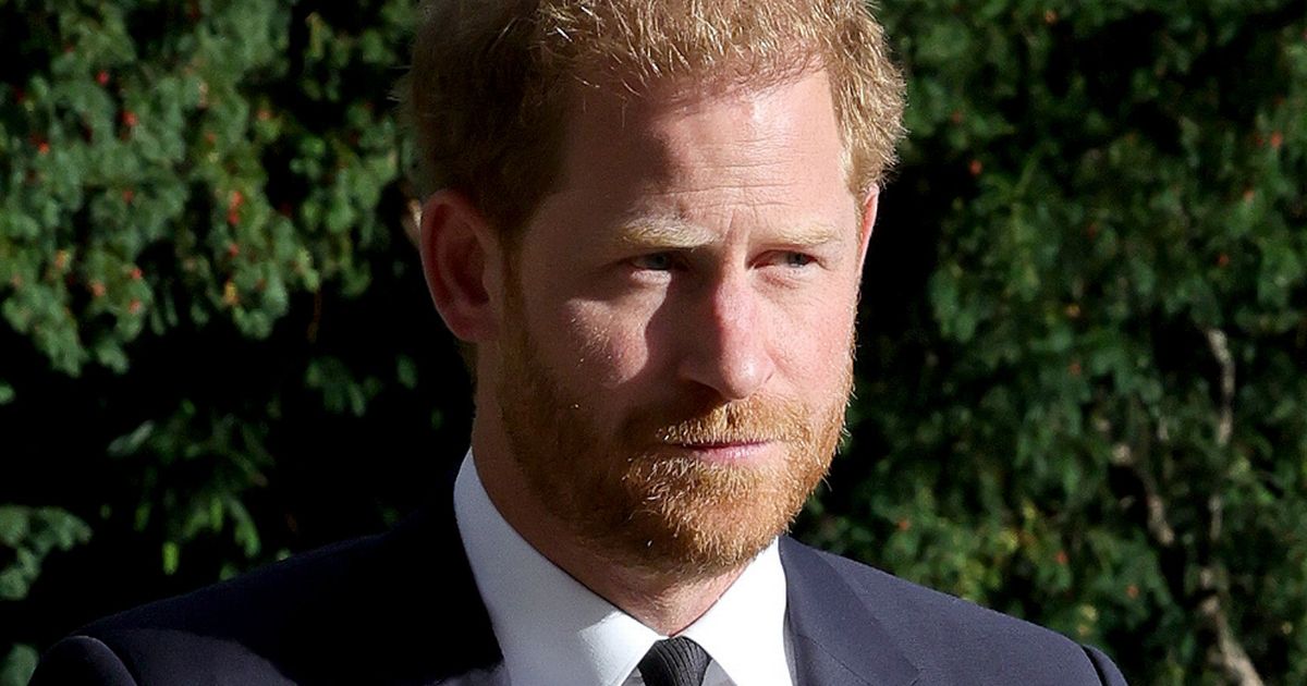 Prince Harry's blunt six-word reason why he and Meghan won't give up ... Prince Harry's blunt six-word reason why he and Meghan won't give up ...