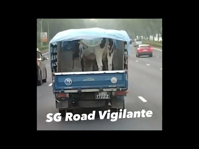 PIE toyota dyna nothing the all in lorry cannot transport | Nestia