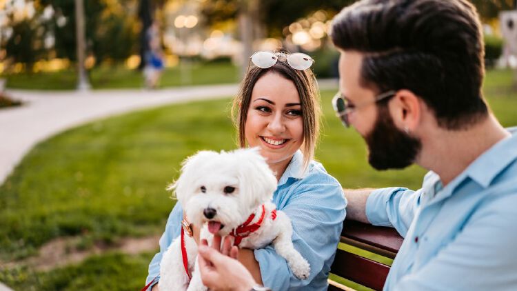 Woman snubs sister-in-law's wedding because her dog isn't invited | Nestia