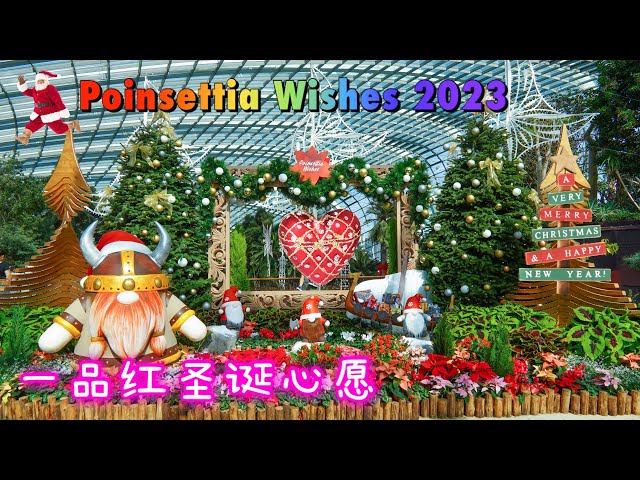 圣诞心愿2023， 今年的主题是维京风情的寒冬仙境。身着传统维京服饰的北欧尼塞人，憨态可掬的圣诞矮人，还有胡桃夹子木偶士兵，在多个品种的圣诞花丛中庆祝圣诞节｜新加坡滨海湾花穹 DJI ...