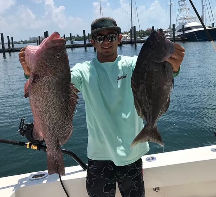 Surfer dies during shark ‘encounter’ at Hawaii hotspot | Nestia