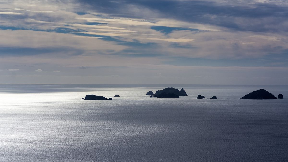 Man rescued after 24 hours lost in shark-infested seas by using watch to signal for help | Nestia