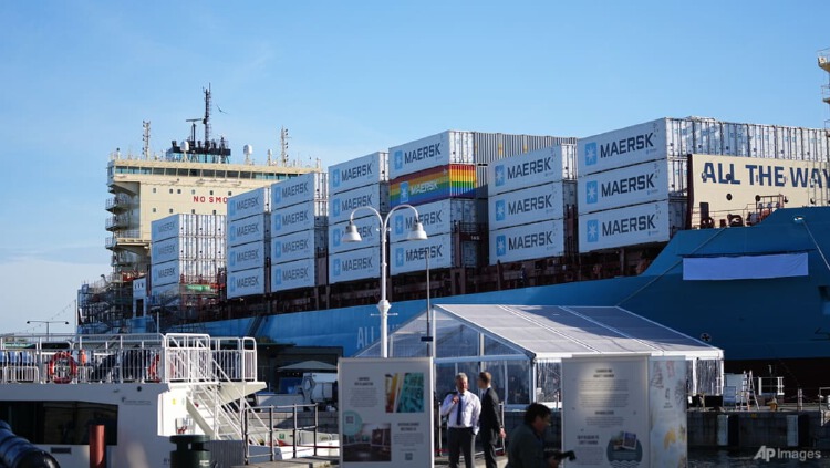 Maersk reroutes Red Sea container ships back to Suez Canal | Nestia