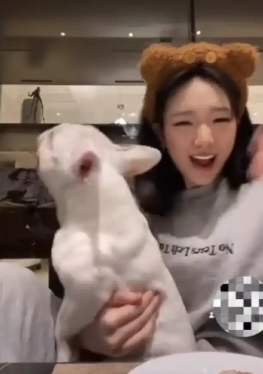 小S大女儿ELLY晒搞笑短视频 与法斗互动活泼可爱 | Nestia