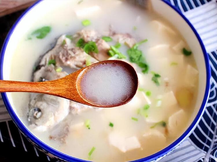 老人常爱喝的鱼汤，却会促进癌细胞生长？真相，有类老人要注意 | Nestia