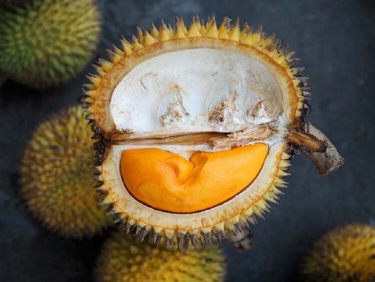 Making sense of Sarawak's wild durians | Nestia