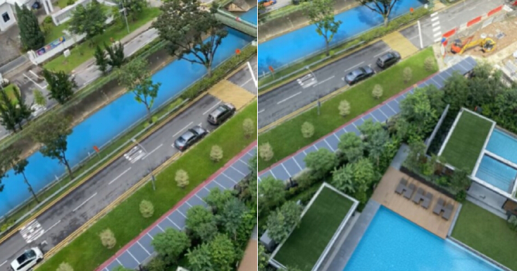 Bukit Timah Canal water as blue as condo swimming pool on Jan. 17 | Nestia
