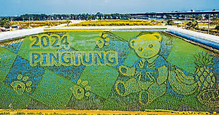 屏东彩绘稻田长成 泰迪熊向民众挥手 | Nestia