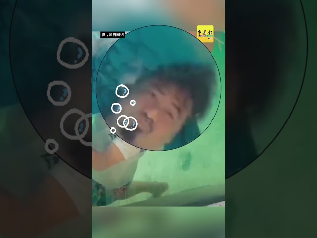 美人鱼婚纱照的心酸谁人知 “人肉垫背男”的表情才是亮点 | Nestia