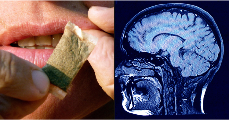 Timeline of everything that happens to your body when you take snus ...