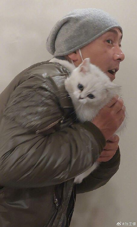 Singer Dicky Cheung says he is fine after falling from mid-air with ...