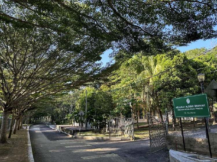 Taman Eko Rimba in Bukit Mertajam welcomes visitors after two years of ...