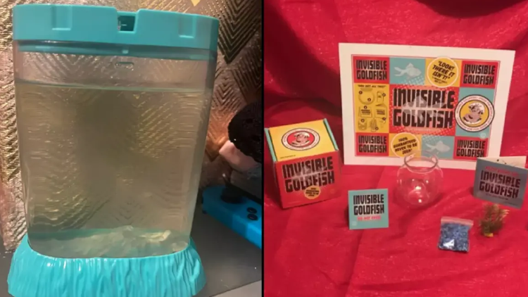Sea Monkeys inventor made thousands from selling fish that never ...
