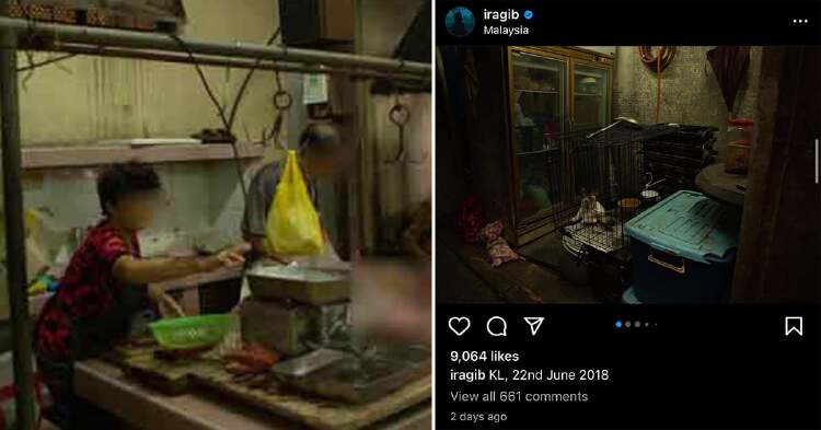 Part2｜茨厂街有猫肉档？外国摄影师删文澄清 “照片是6年前拍摄” | Nestia