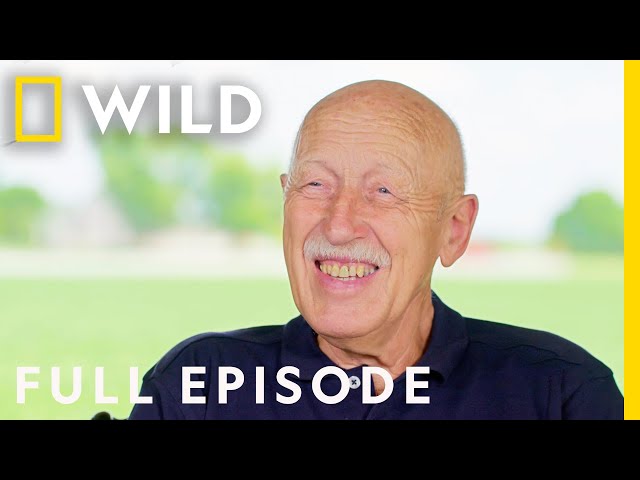 Dr. Pol Builds a New Family Farm! (Full Episode) | The Incredible Pol ...