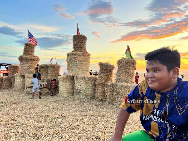Kg Benua padi harvesting season comes alive with rice straw sculptures ...