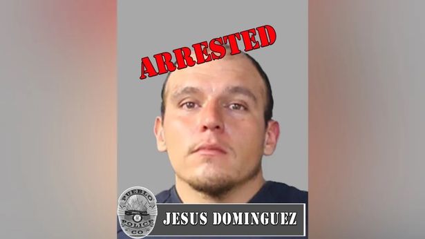 Girl's body found encased in concrete before boy's corpse discovered in ...