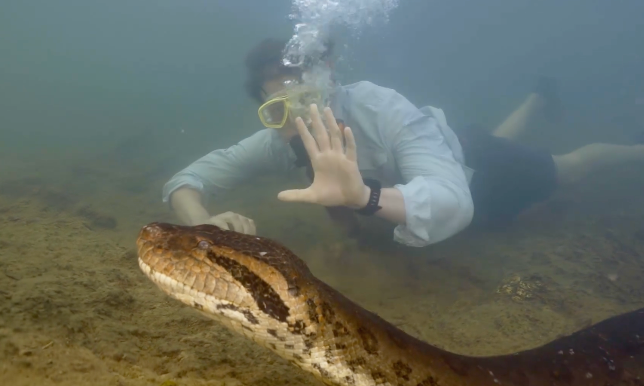 Chilling moment colossal beast is discovered in the depths of the ...