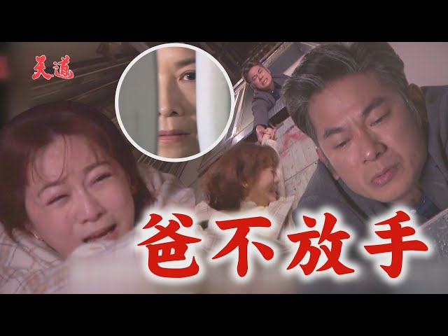 【天道】EP218预告 金龙小三初登场就对陈家下手！超越出意外被均楠救到 惠娟真的抢到眼角膜给文轩惹 ｜完全娱乐 | Nestia